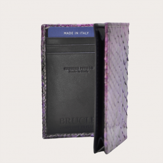 Python credit card holder, hand-painted silver