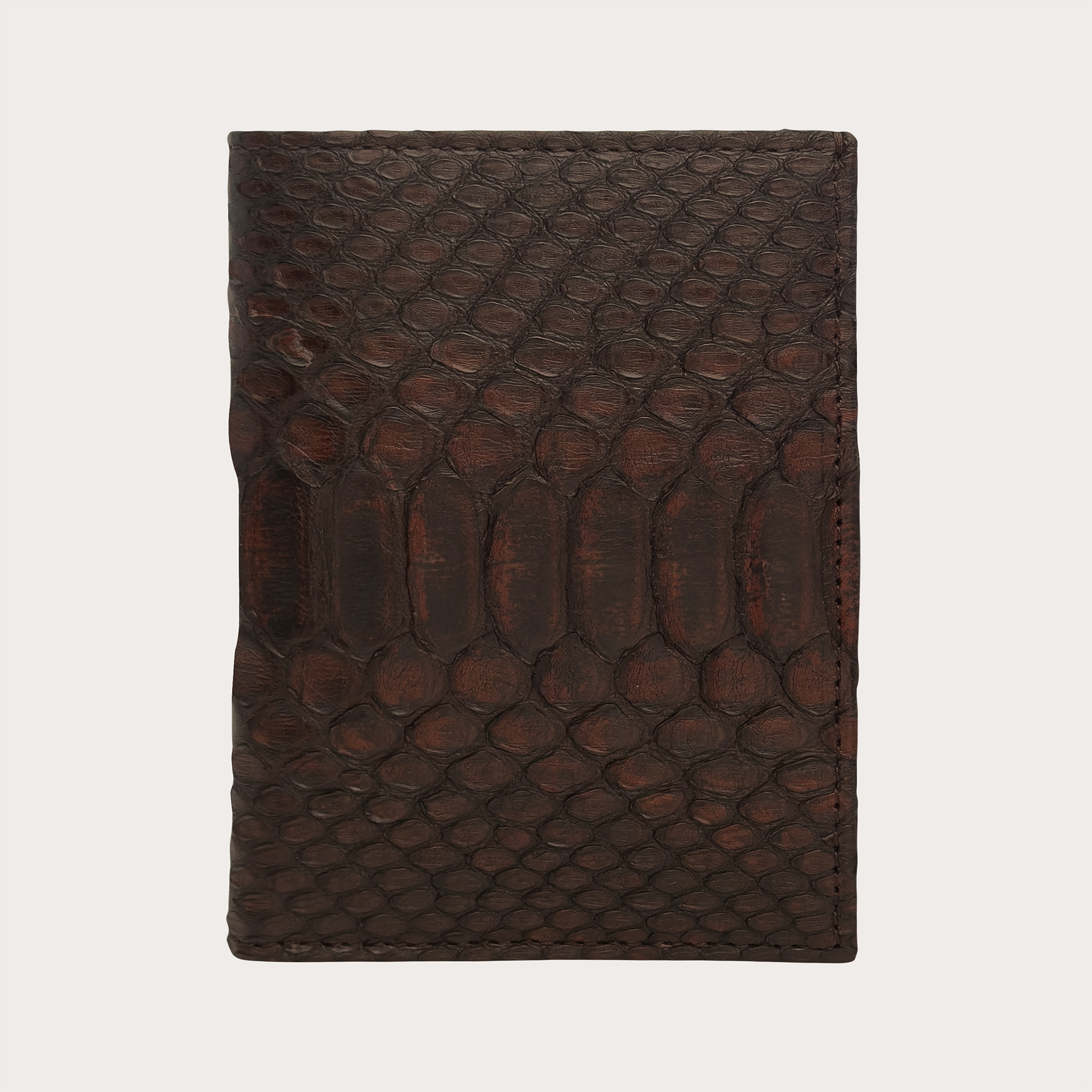 Vertical python wallet in brown | BRUCLE Made in Italy