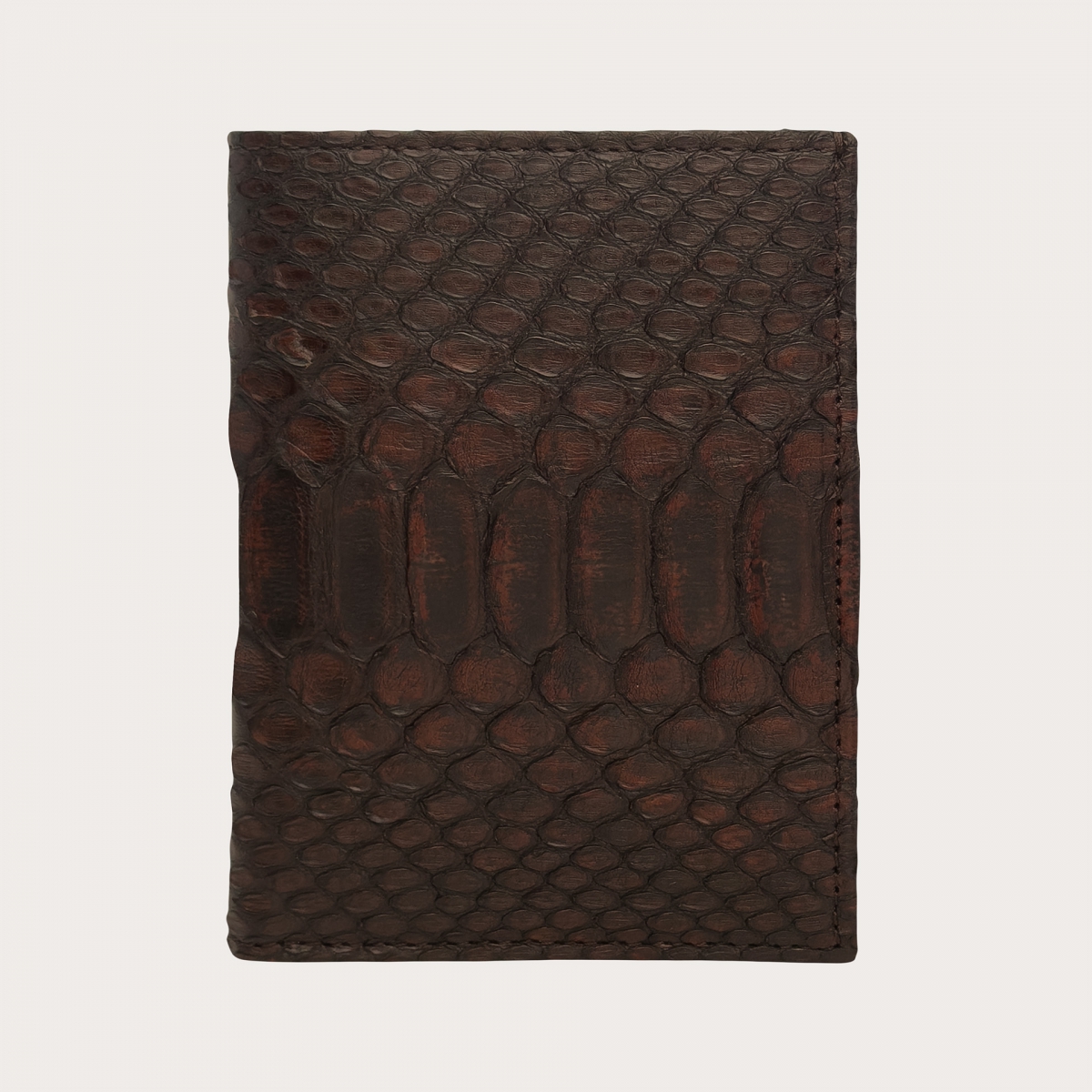 Vertical python wallet in brown | BRUCLE Made in Italy